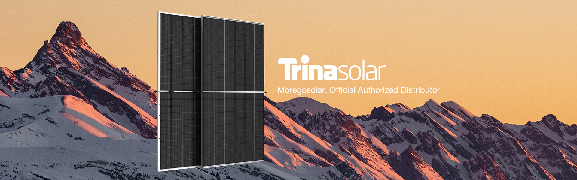 Trina Solar Panel Vertex N Bifacial 670-695W - Moregosolar, one-stop PV products and service