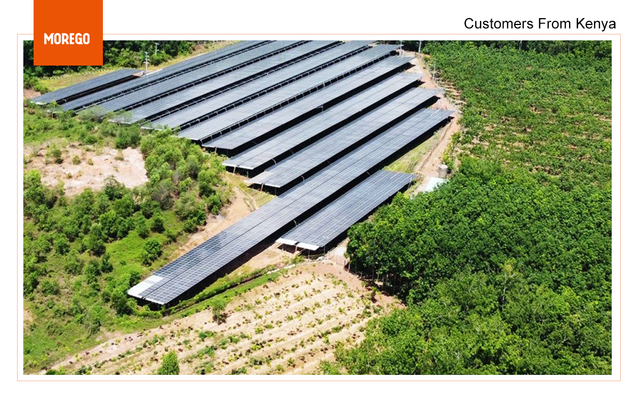 Trina Solar Panel - Moregosolar
